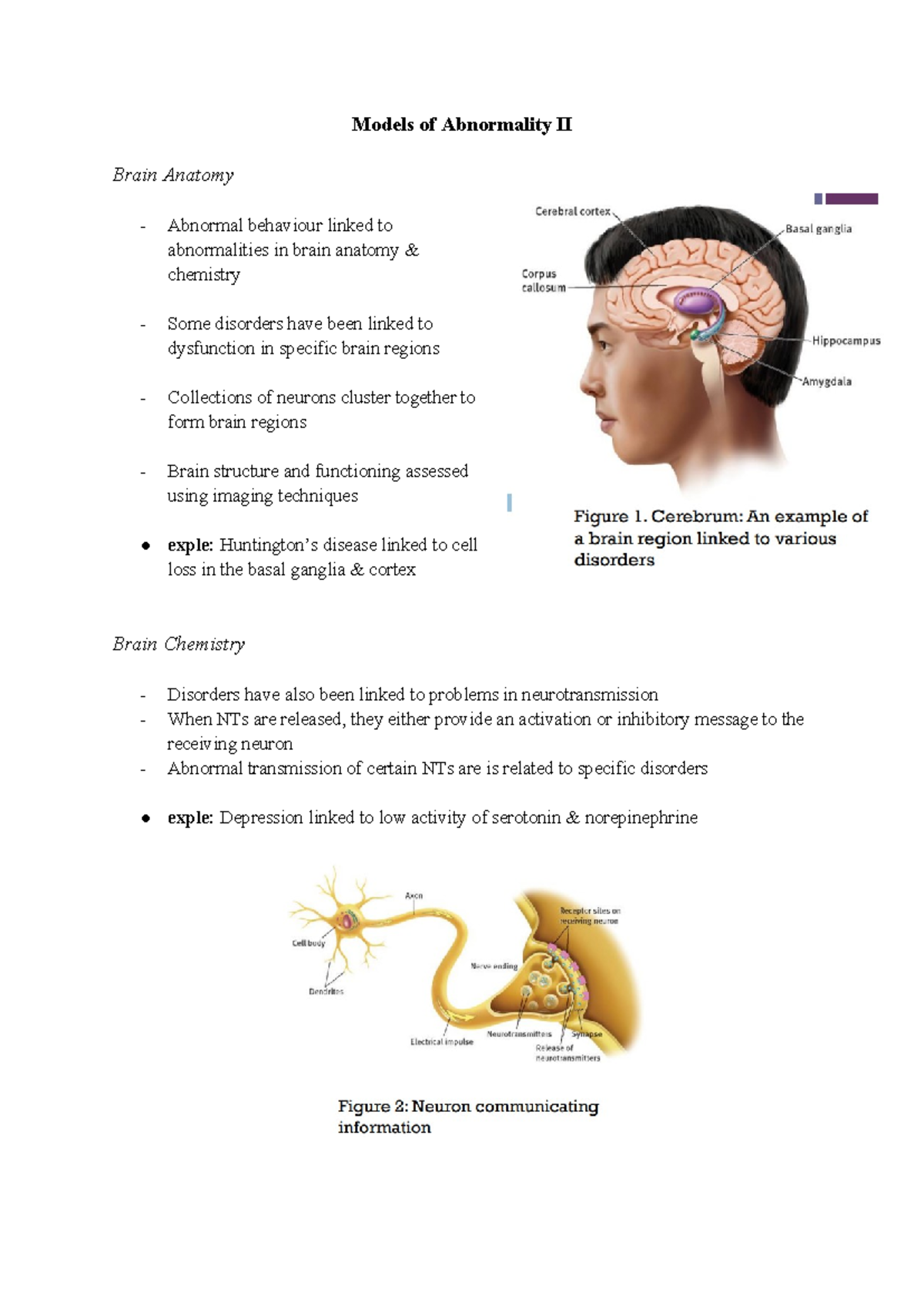 Week 8 - Models of Abnormality II - Models of Abnormality II Brain ...