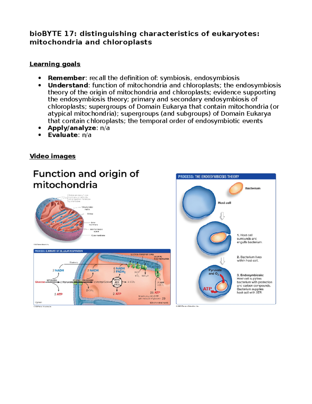 1802.Notes guide.bio BYTE 17 - bioBYTE 17: distinguishing ...