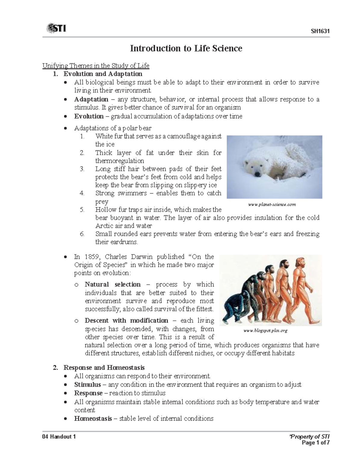 G11- 04 Handout 1 - Notes - 04 Handout 1 *Property of STI Introduction ...