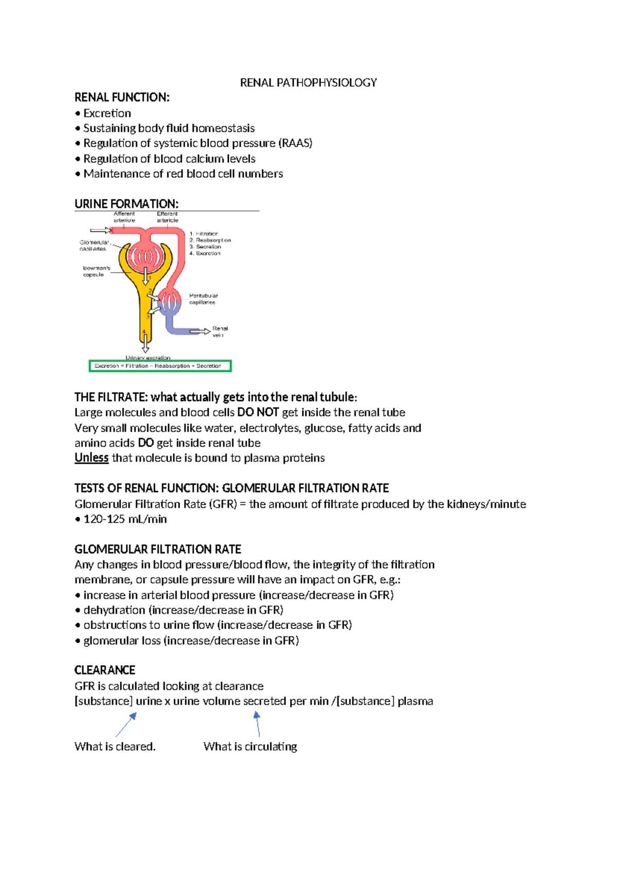 Renal pathophysiology - RENAL PATHOPHYSIOLOGY RENAL FUNCTION: Excretion ...