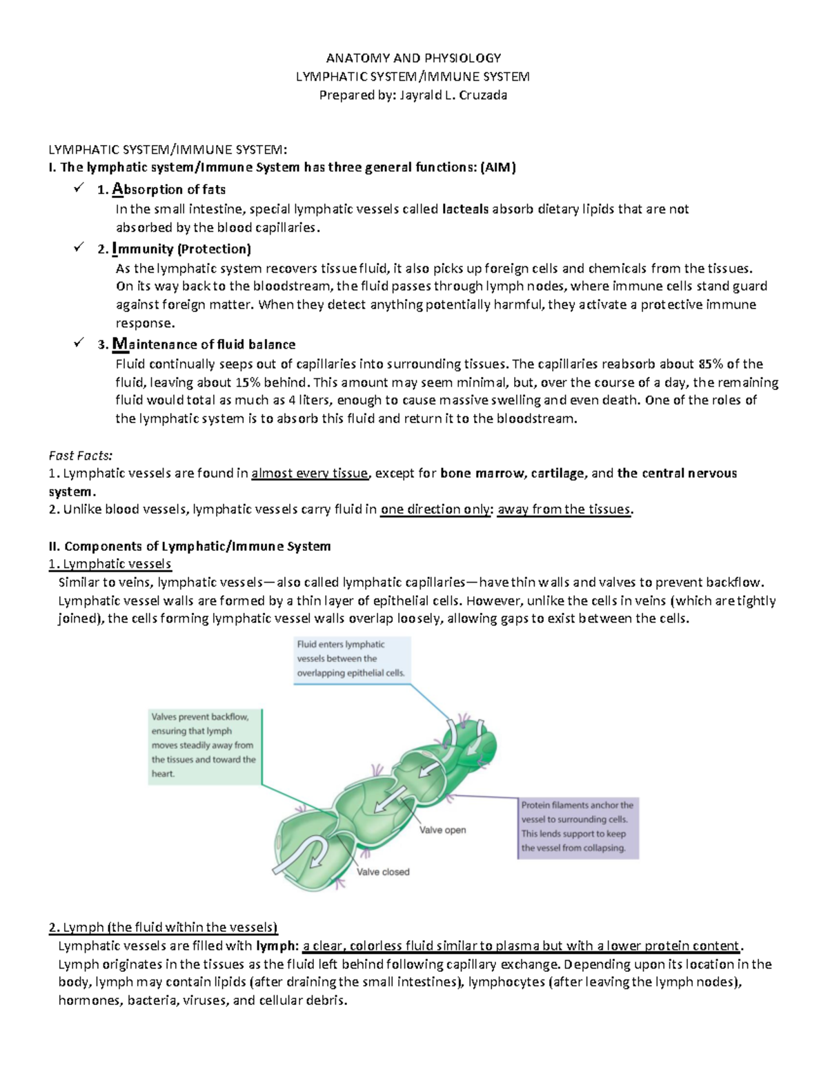 Immune System - ANATOMY AND PHYSIOLOGY LYMPHATIC SYSTEM/IMMUNE SYSTEM ...