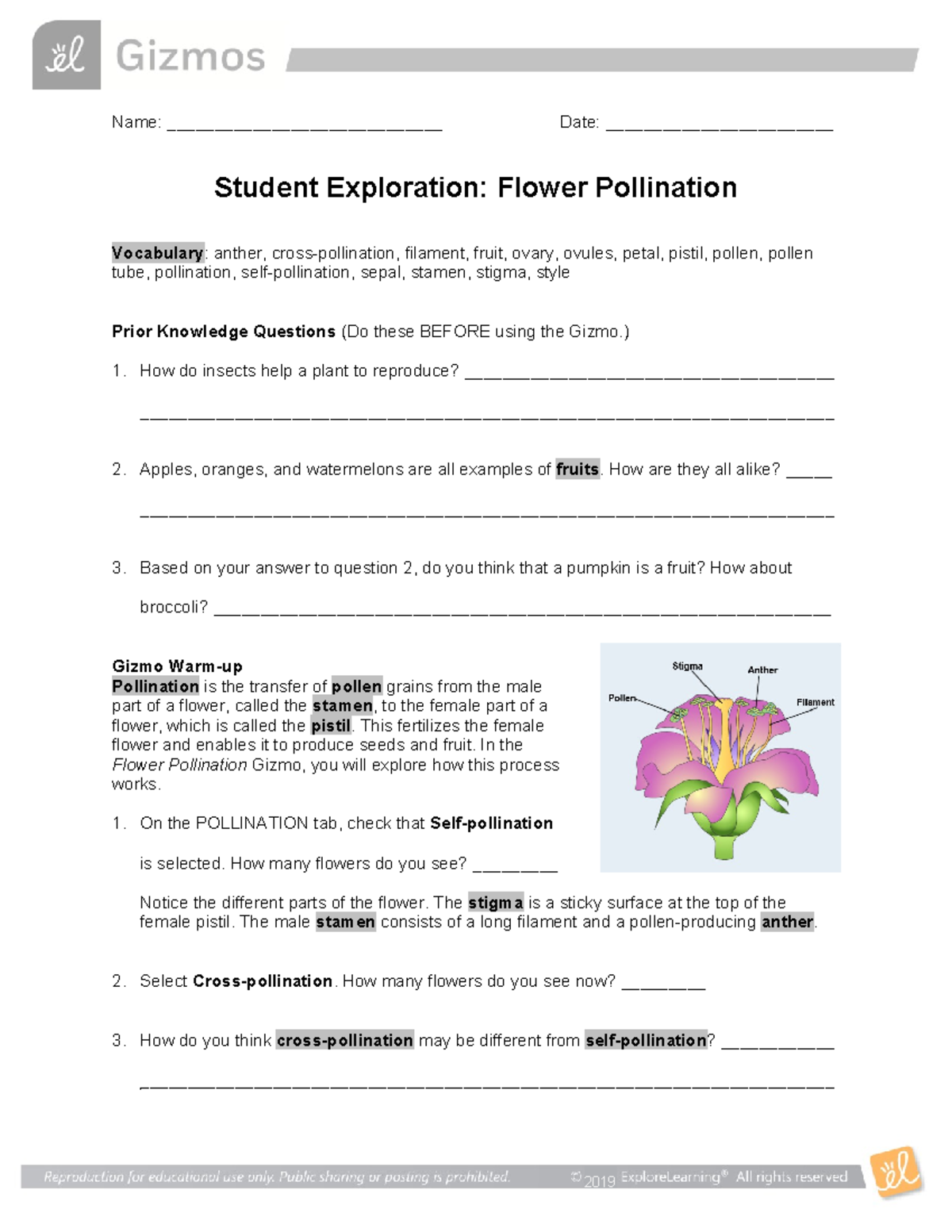 Flower Pollination SE - Book - 2019 Name ...