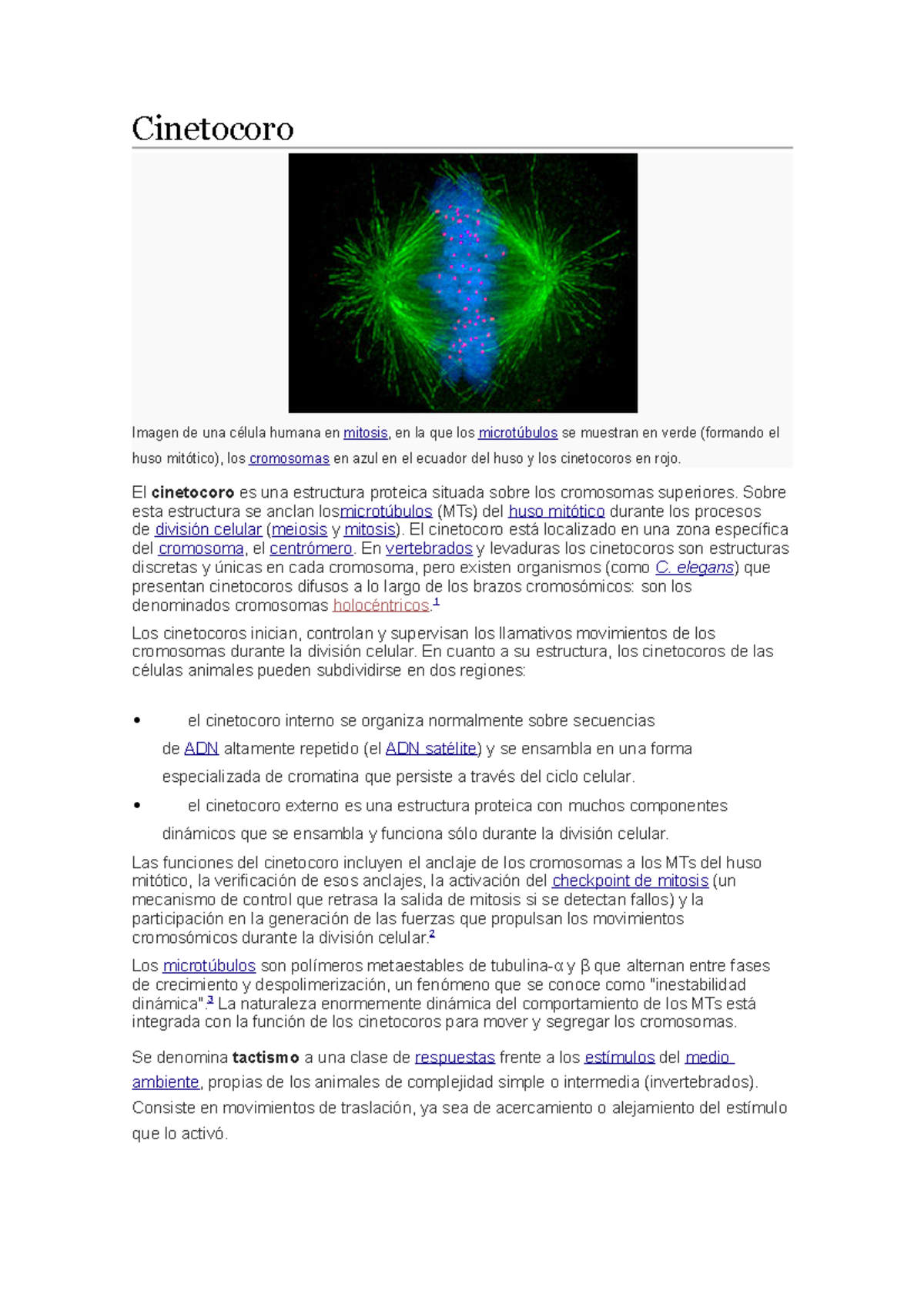 Cinetocoro - Cinetocoro Imagen de una célula humana en mitosis, en la ...