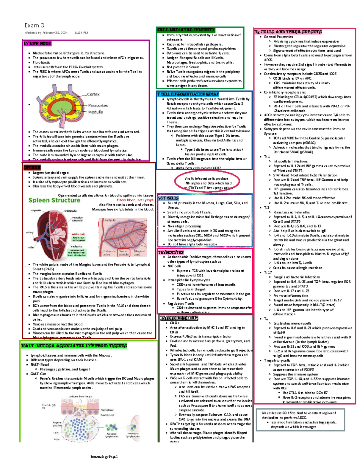 Exam 3 study Guide - Summary Immunology - Lymph Node Made of stromal ...