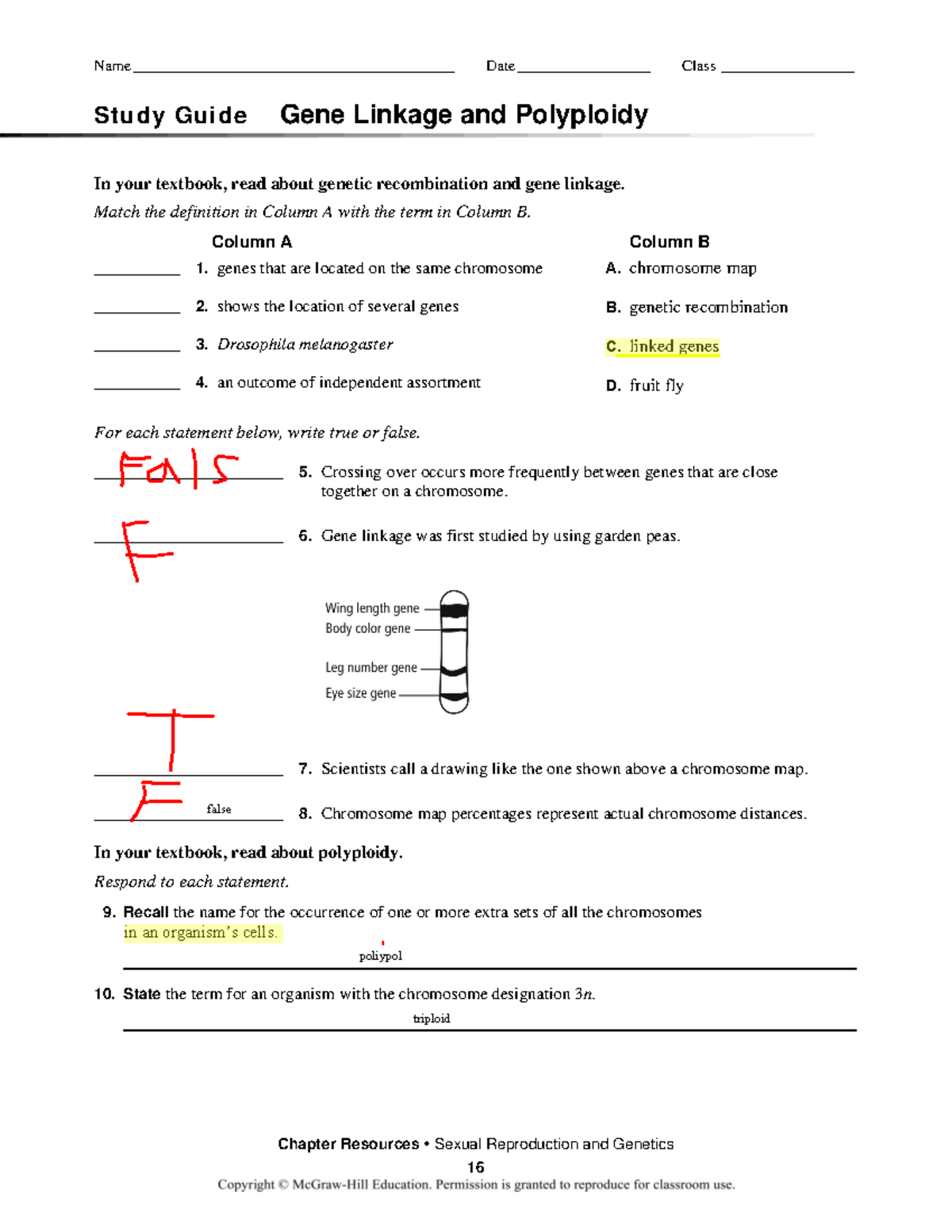 Kami Export - Alexzander Santiago - Sexual Reproduction and Genetics ...