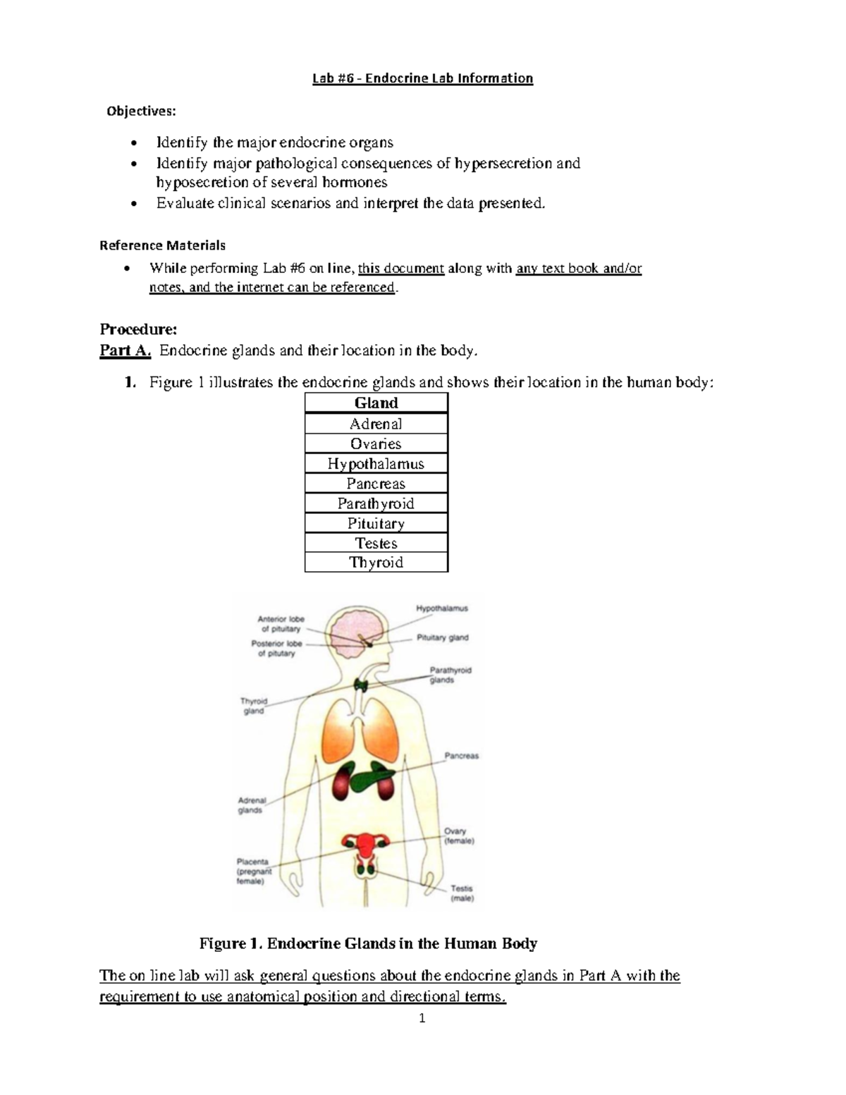2020 Lab51 Spring Lab - Warning: TT: undefined function: 32 Lab #6 - Endocrine Lab Information ...