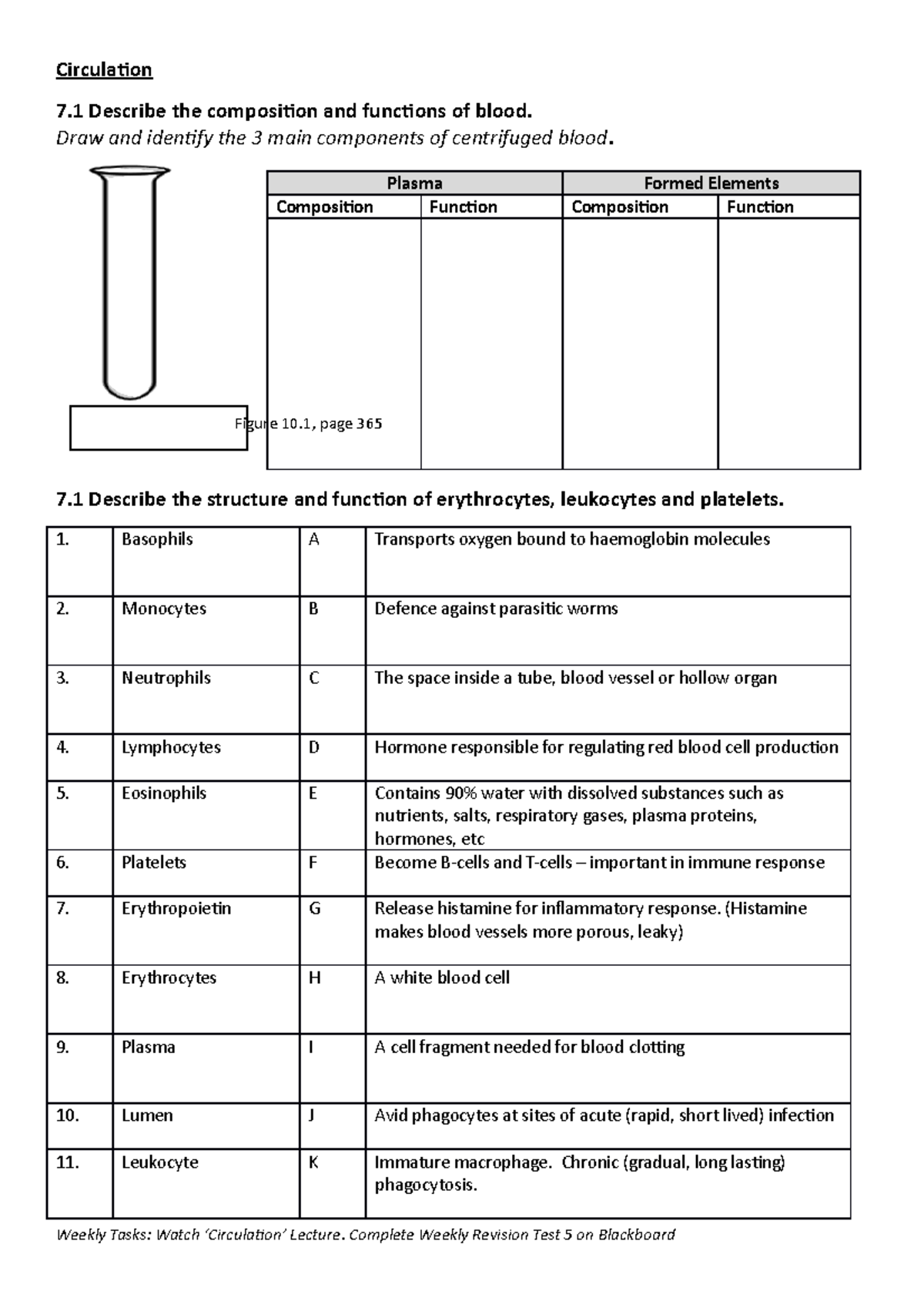 Tutorial 5 Circulation - Circulation 7 Describe the composition and ...