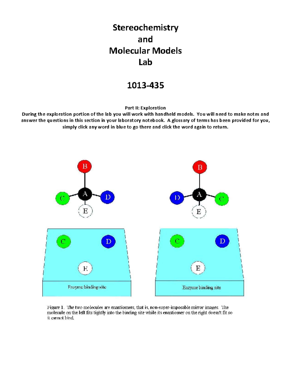 Stereochemistry lab - Worksheet - CH 2400 - AnswerAnswer Answer Answer ...