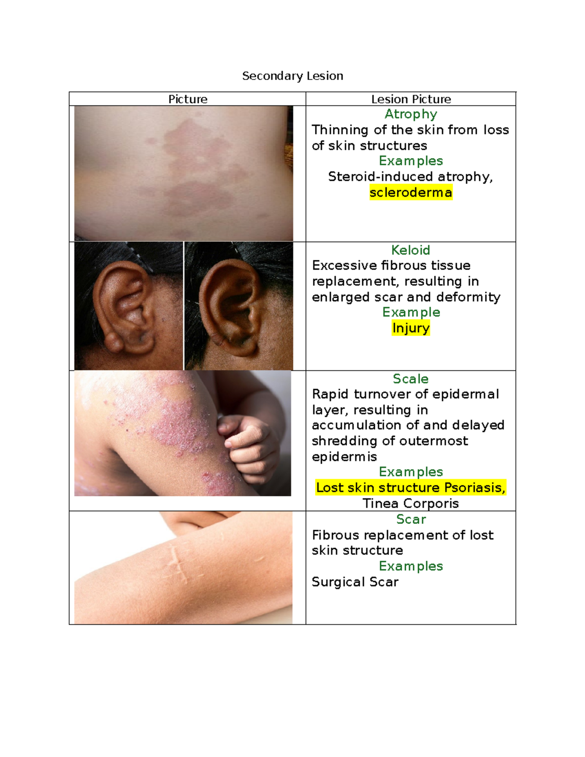 Secondary lesion - chapter 11 - Secondary Lesion Picture Lesion Picture ...