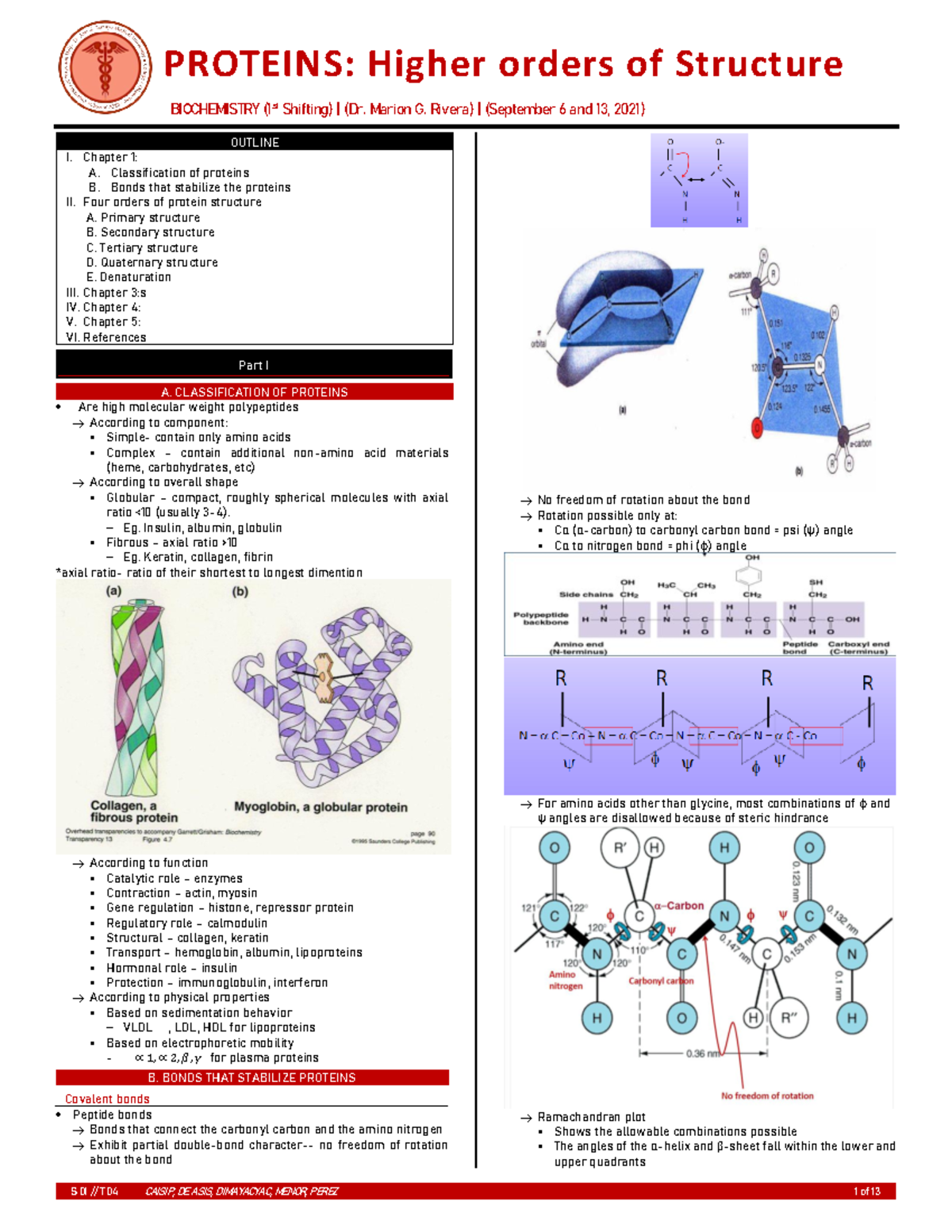 Proteins: Higher Order of Structures - S 01 // T 04 CAISIP, DE ASIS ...