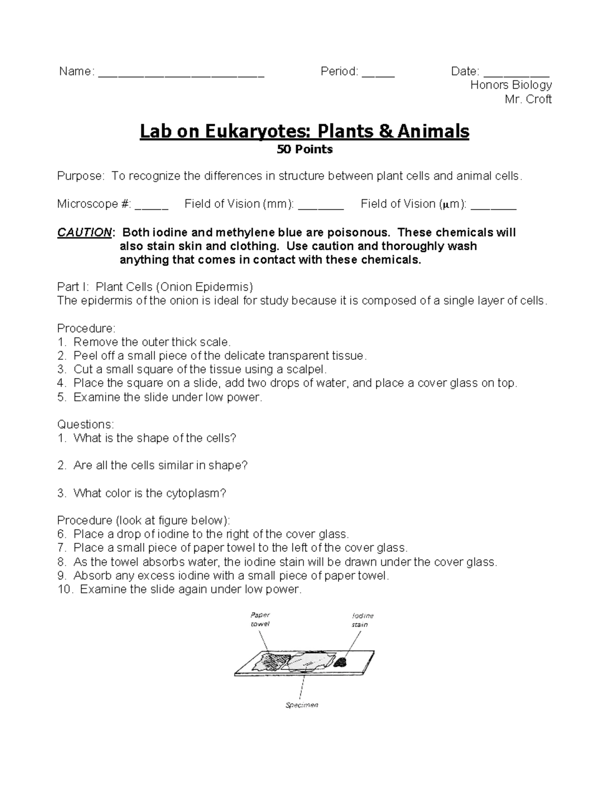 Cells lab - Cell biology - Name: _________________________ Period: _____ Date: __________ Honors ...