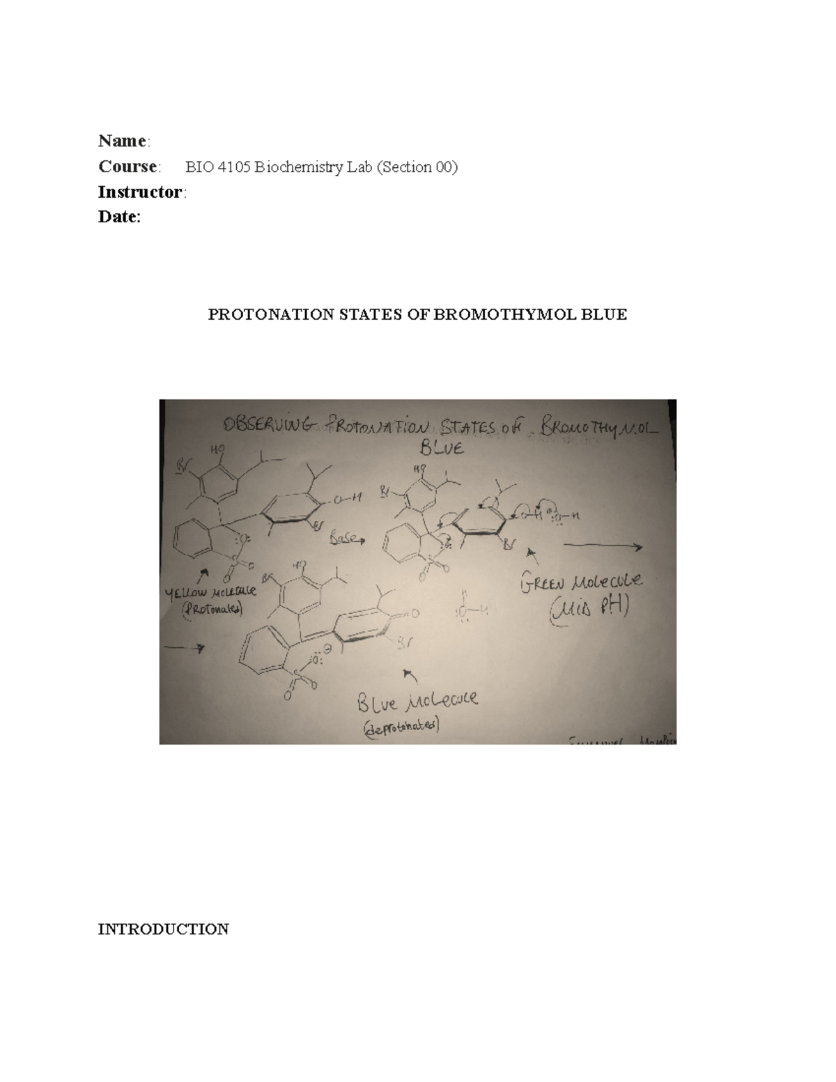BIO 4105 Biochemistry Lab (Section 00)- Protonation States OF ...