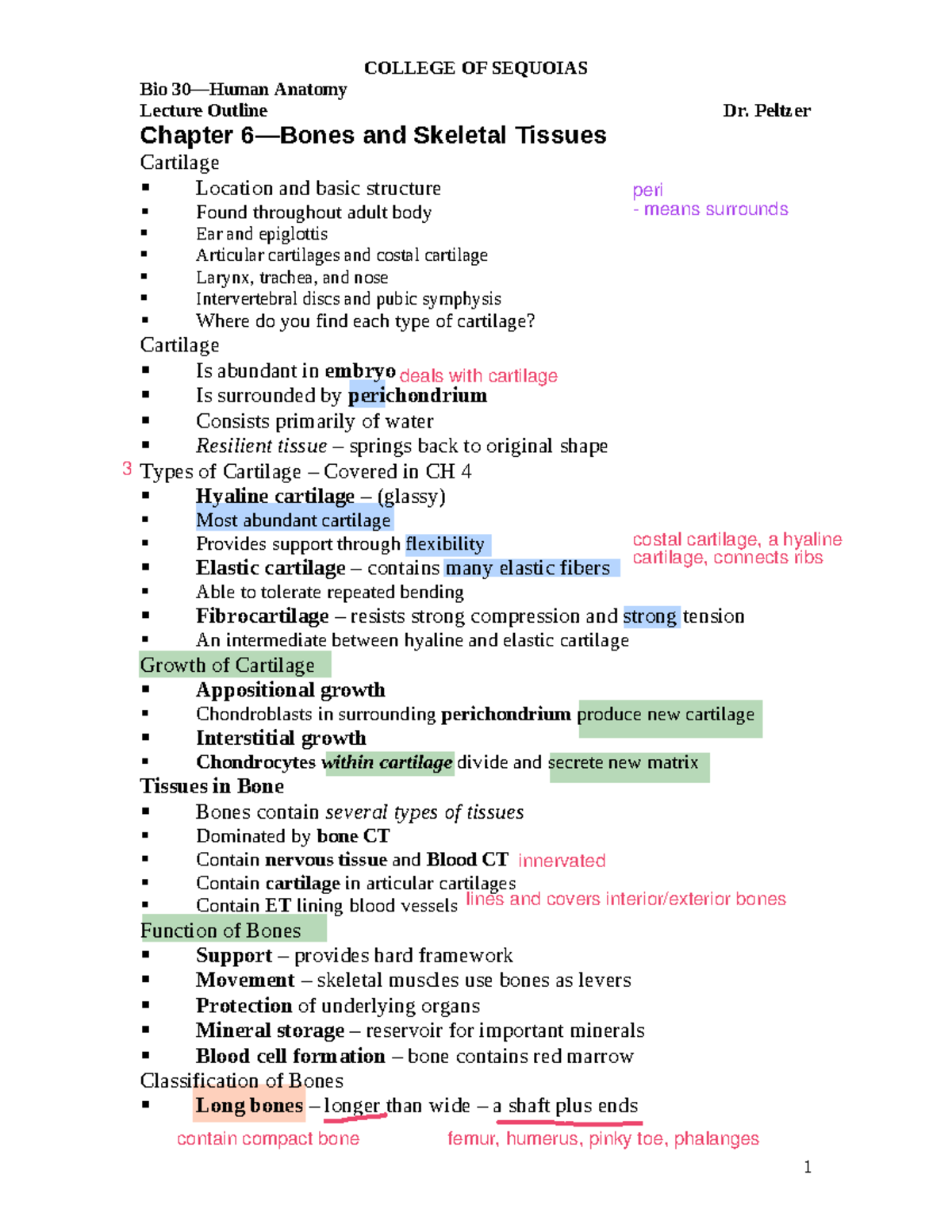 Ch. 6 Outline - Bio 30—Human Anatomy Lecture Outline Dr. Peltzer ...