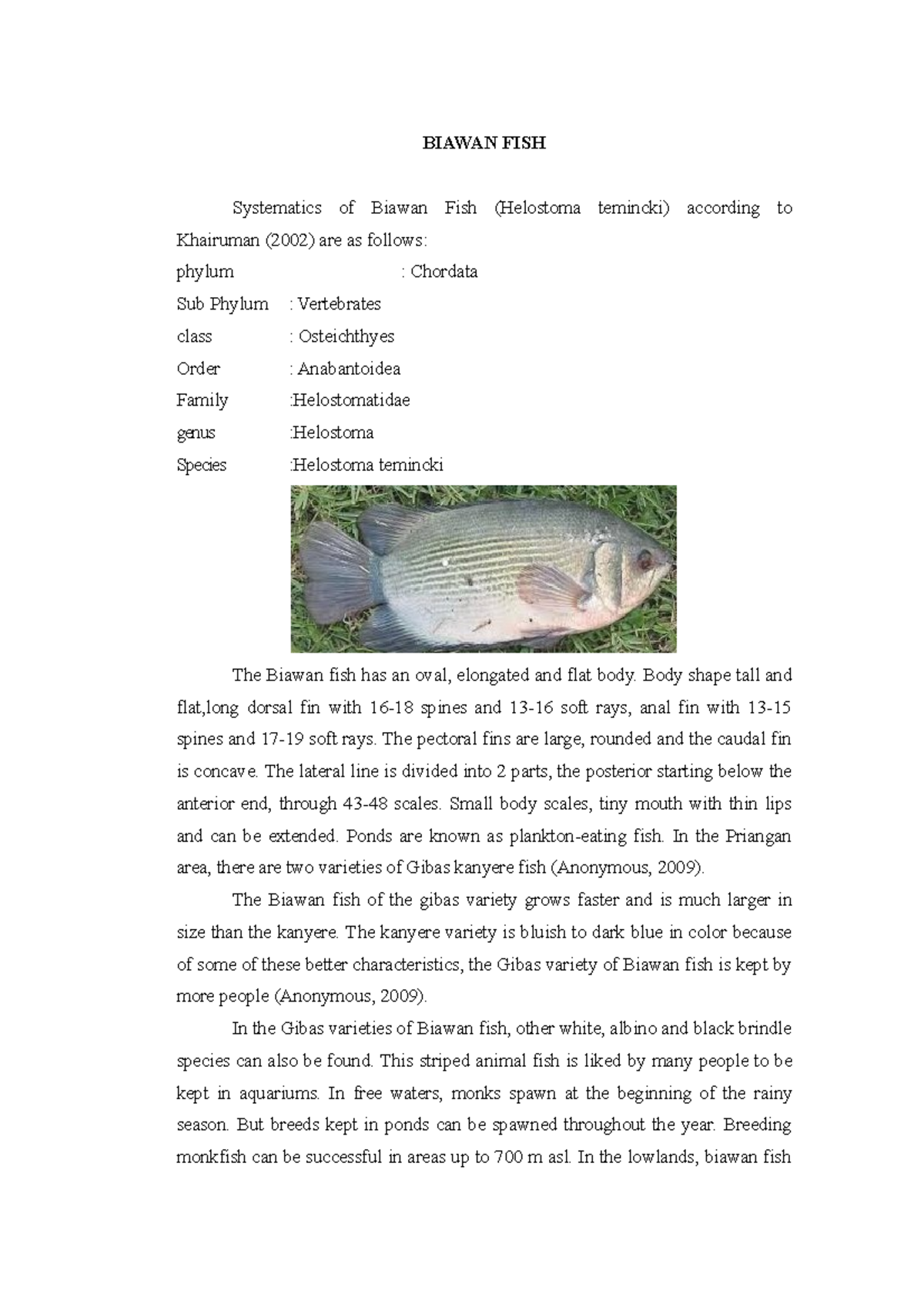 Biawan Fish (Ichthyology) - BIAWAN FISH Systematics of Biawan Fish ...