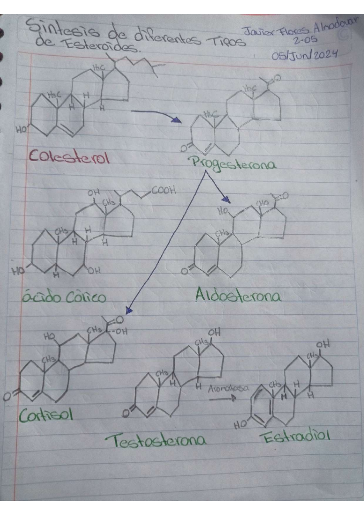 Tarea Sintesis de diferentes tipos de esteroides Flores Almodovar ...