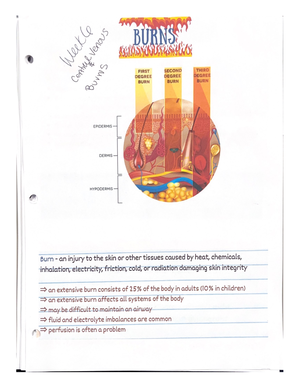 A&P Ch.10 Nervous System Study Guide Answer - Herlihy: The Human Body ...