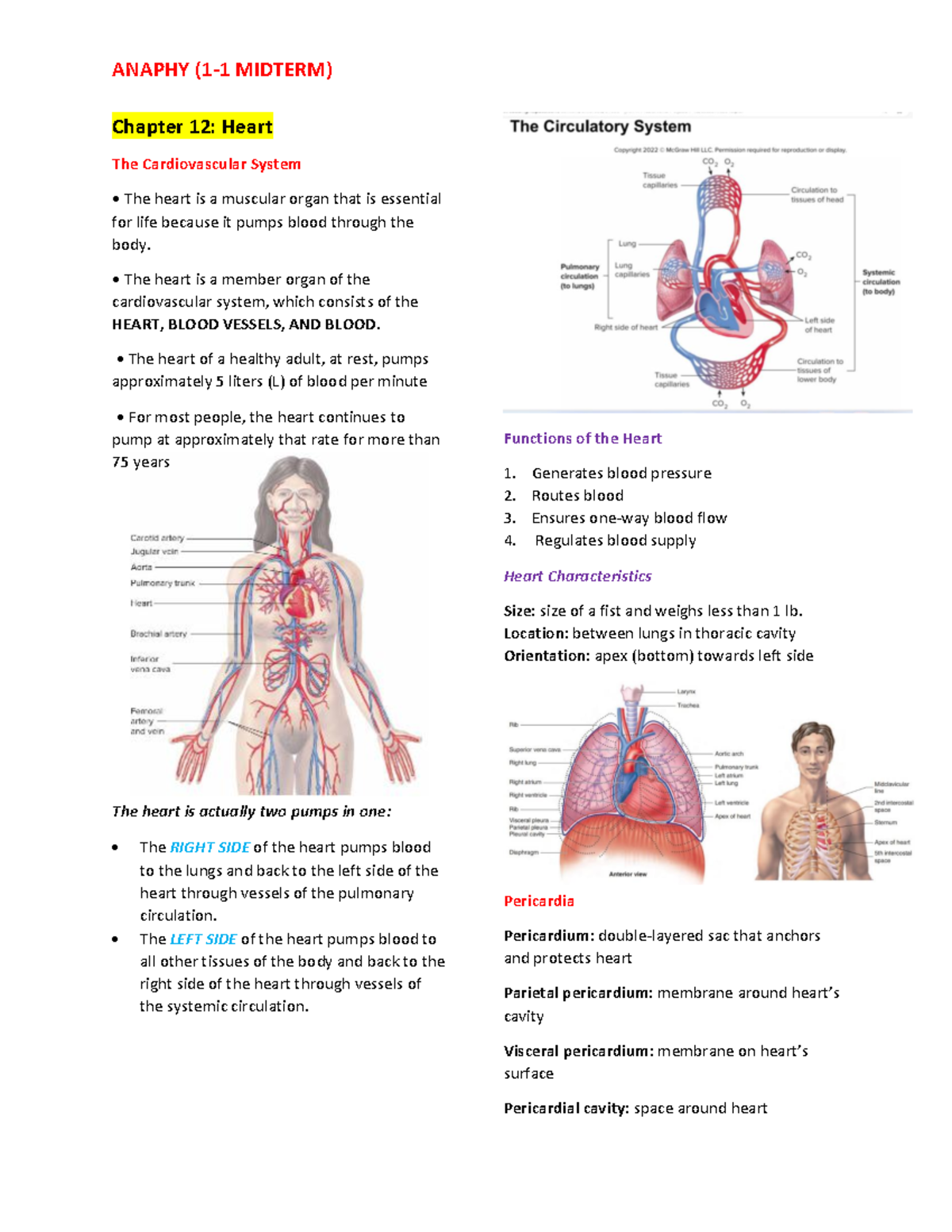 Chapter 12 ( Heart) - Chapter 12: Heart The Cardiovascular System The ...