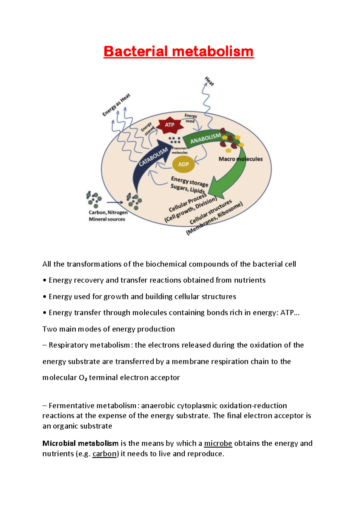 Bacterial metabolism - .. Two main modes of energy production ...