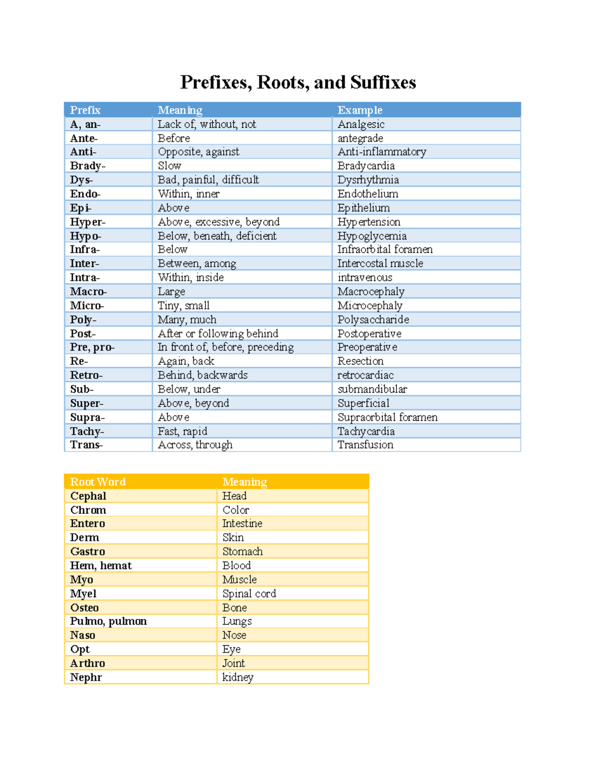 Prefix, roots, and suffixes - BIO 2401 - Baylor University - Studocu