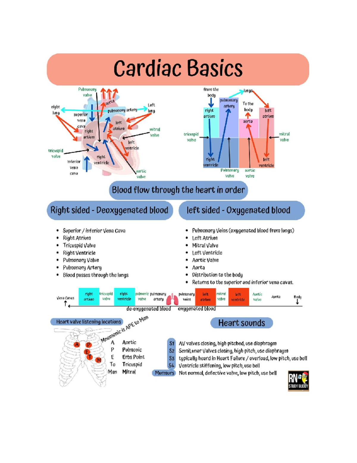 Cardiac basics med surg - NSG 3313 - Studocu