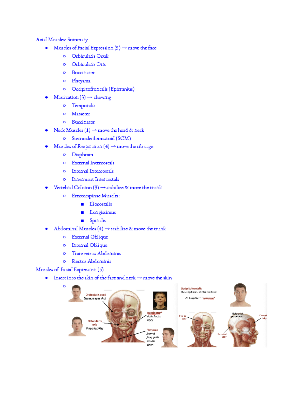 Axial Muscles (Chapter 11) - Deprecated API usage: The SVG back-end is ...