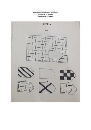 Standard Progressive Matrices Test Booklet pdf - Standard Progressive ...