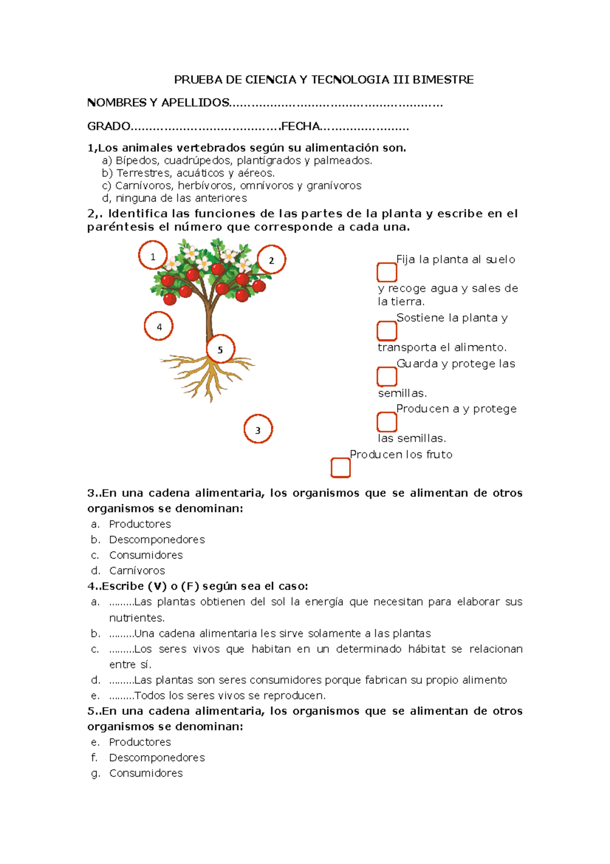 Prueba DE Ciencia Y Tecnologia III Bimestre - PRUEBA DE CIENCIA Y ...