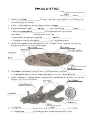 Ecology Worksheet - Ecology Name ________________________ Date ...