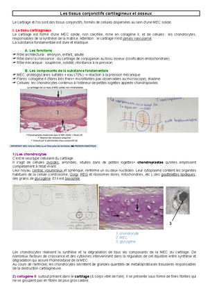 Colorations - Résumé biologie tissulaire - · Les coloat les+ utilisées ...