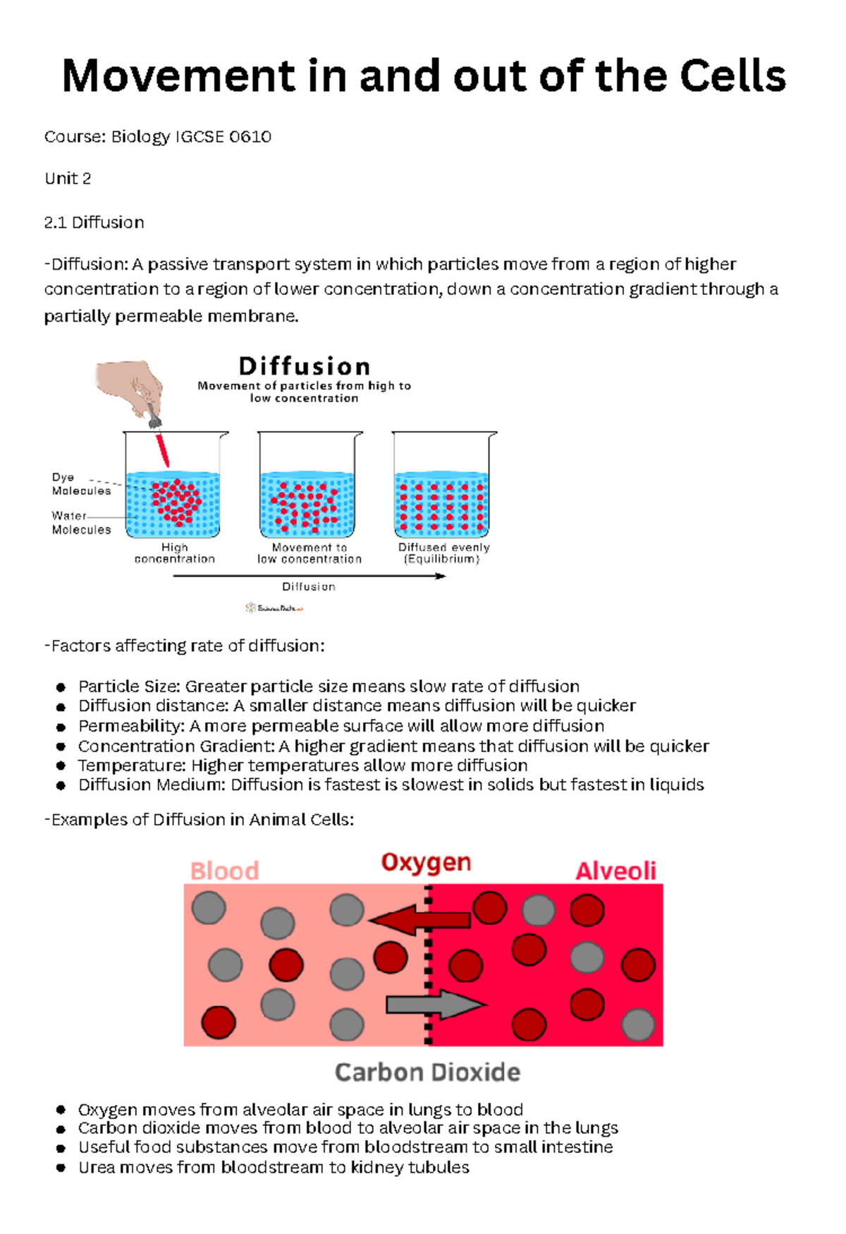 Movement in and out of cells - Movement in and out of the Cells Course ...