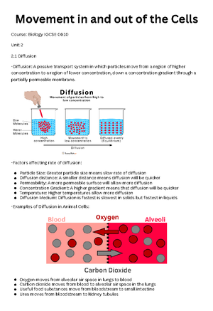 Multiple Choice Questions - Replication, Transcription, & Protein ...