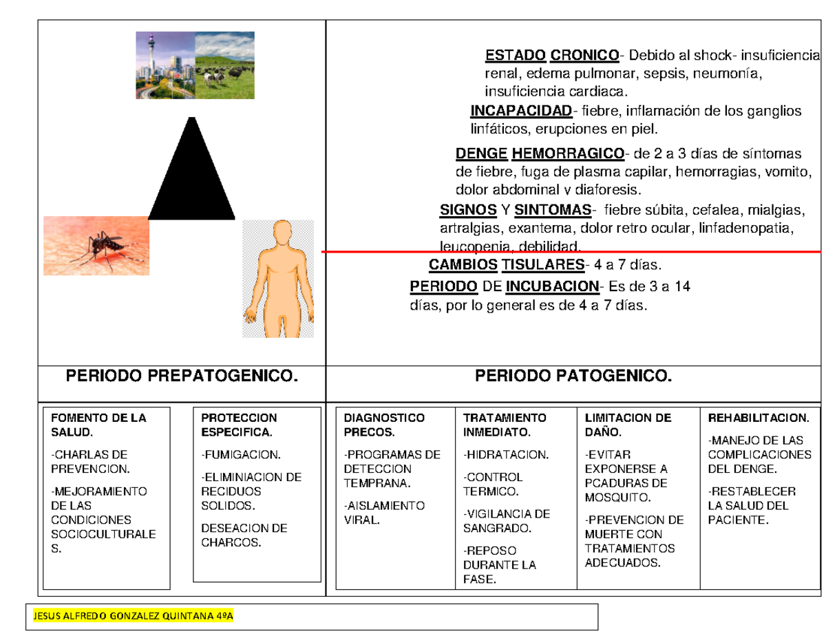anatomia del cuerpo humano - PERIODO PREPATOGENICO. PERIODO PATOGENICO ...