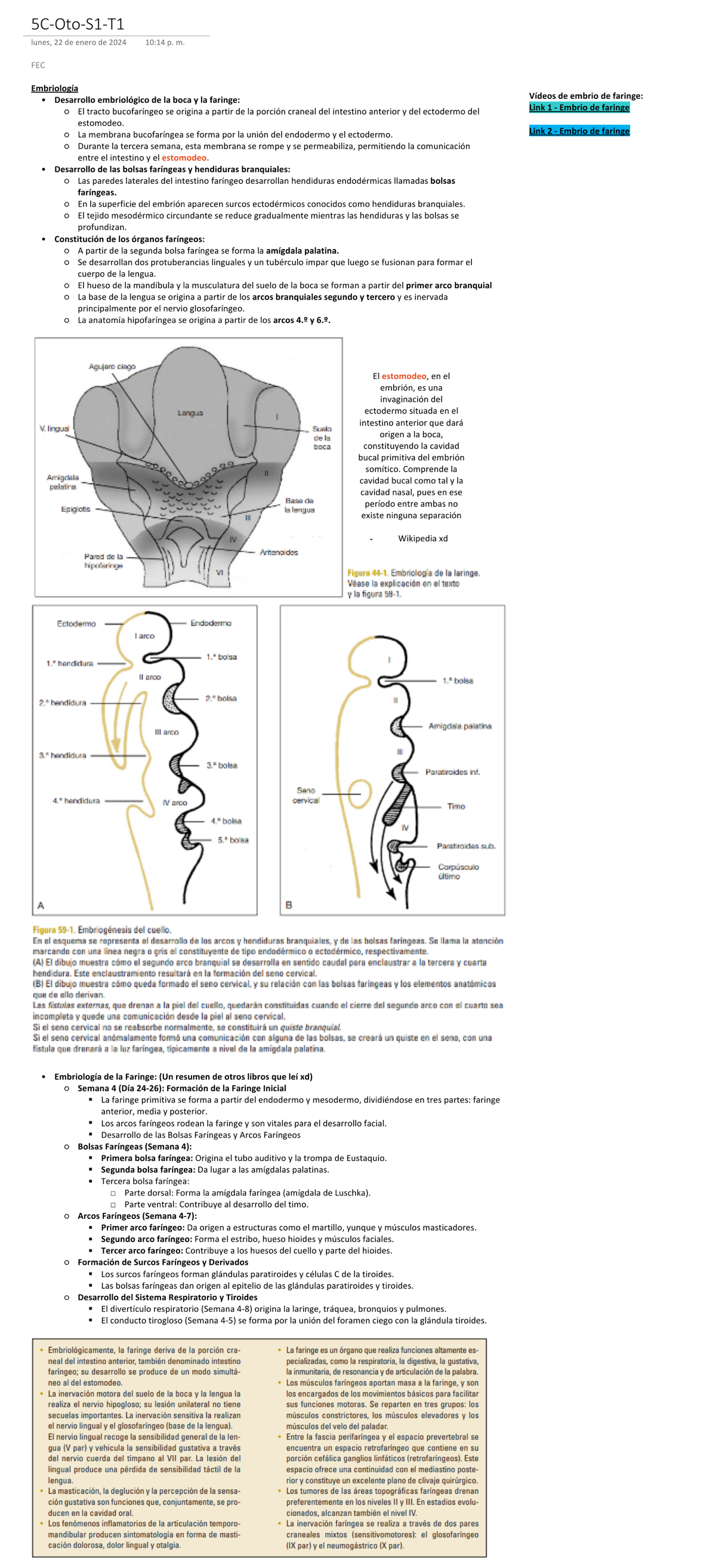 5C Oto S1 T1 - Resumen Tratado de otorrinolaringología y patología cervicofacial - Studocu