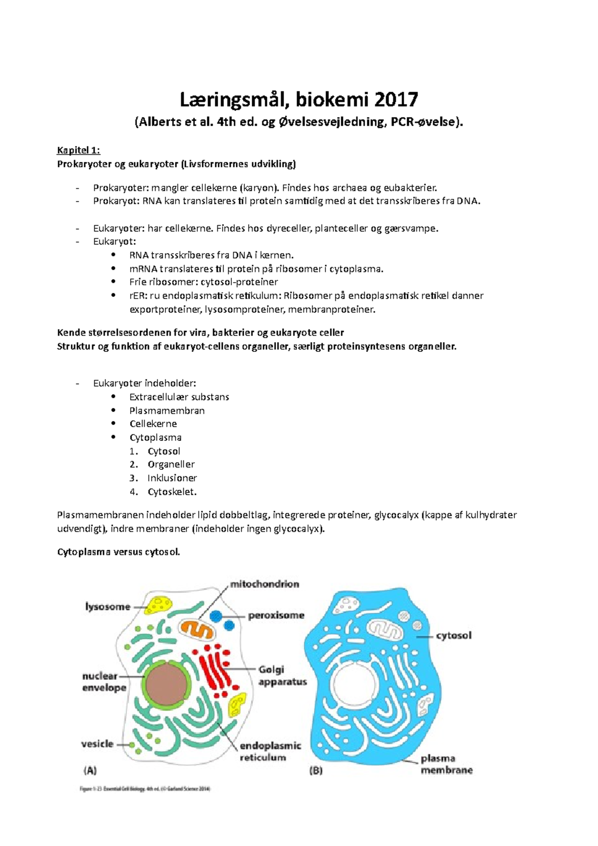 Biokemi - Notes for the exam - biokemi 2017 (Alberts et al. 4th ed. og ...