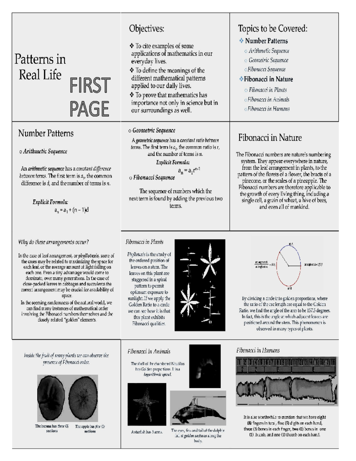 Patterns in Life - Bachelor of Science in Accountancy - Studocu