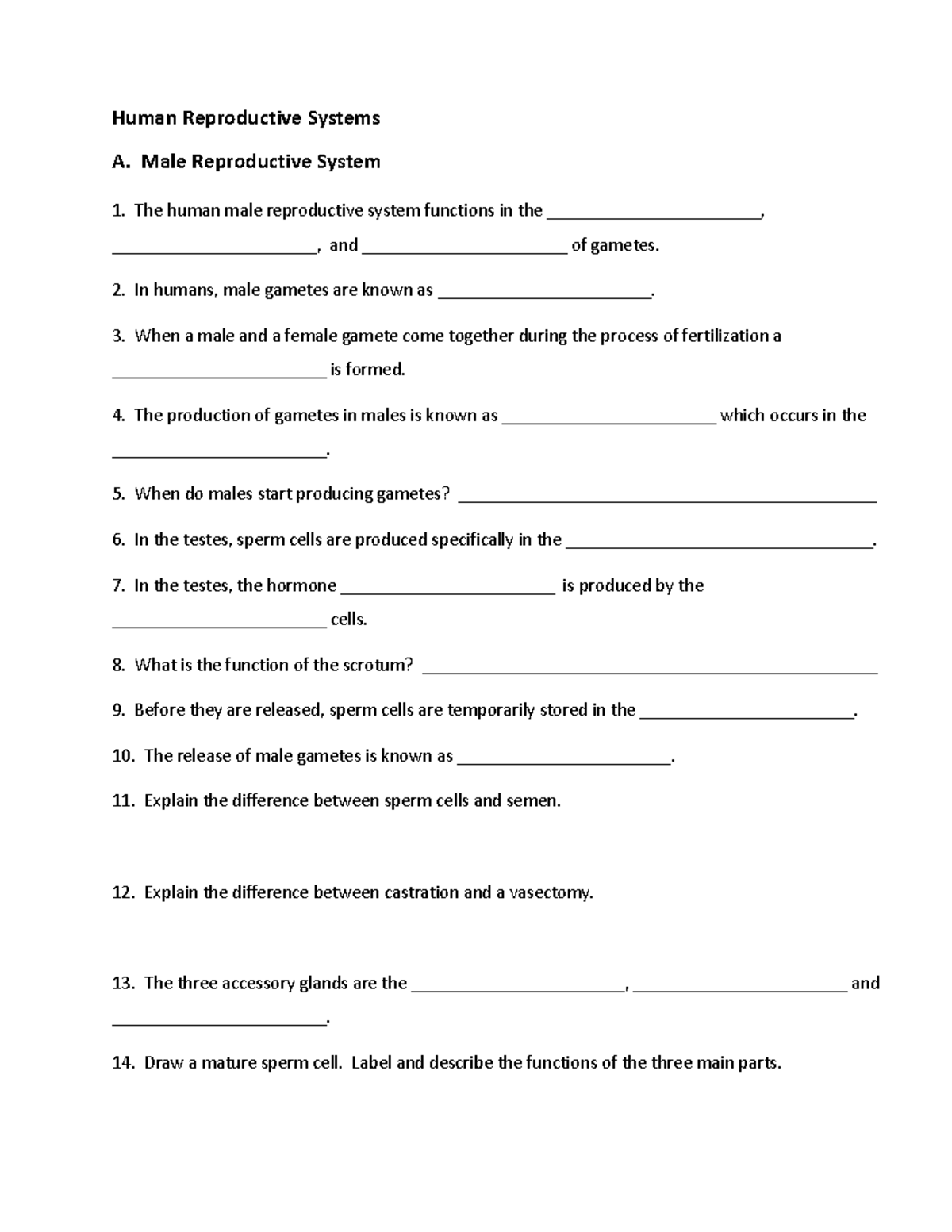 W4T3 Human Reproductive System - Biol 0130 - MRU - Studocu