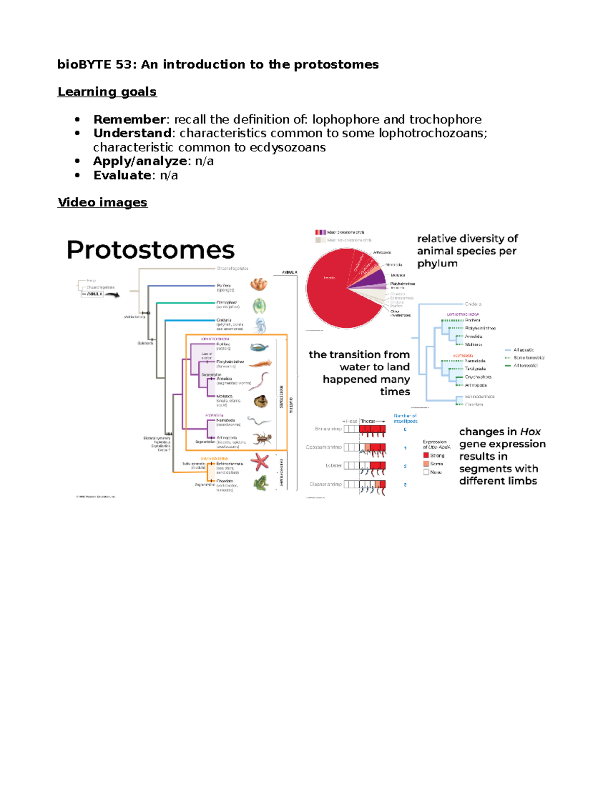 1802.Notes guide.bio BYTE 53 - bioBYTE 53: An introduction to the ...