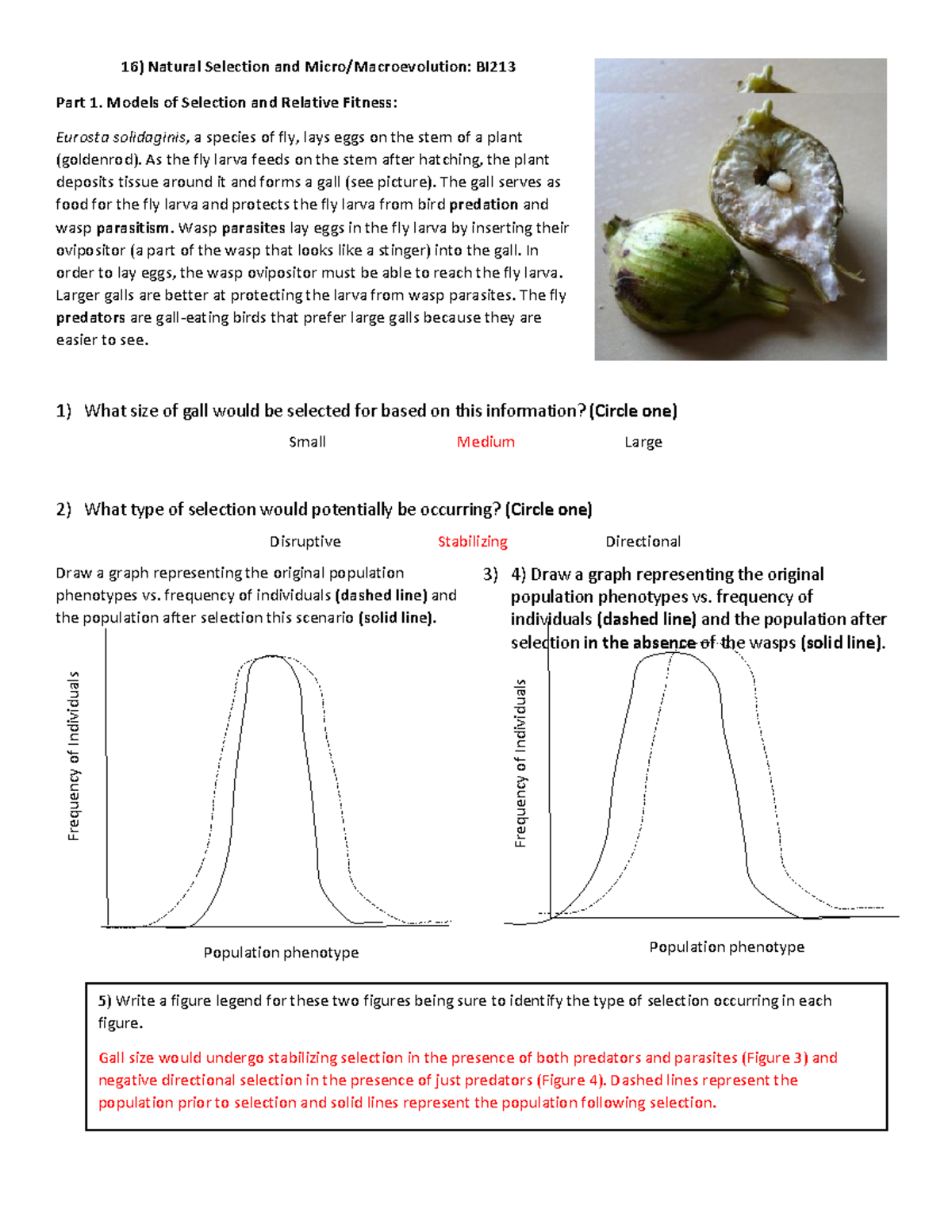 LEcture 16a Worksheet Selection Key - 16) Natural Selection and Micro ...