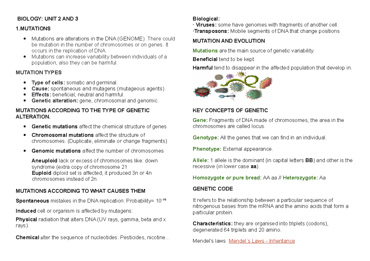 Biology exam 2 trimestre - BIOLOGY: UNIT 2 AND 3 1 Mutations are ...