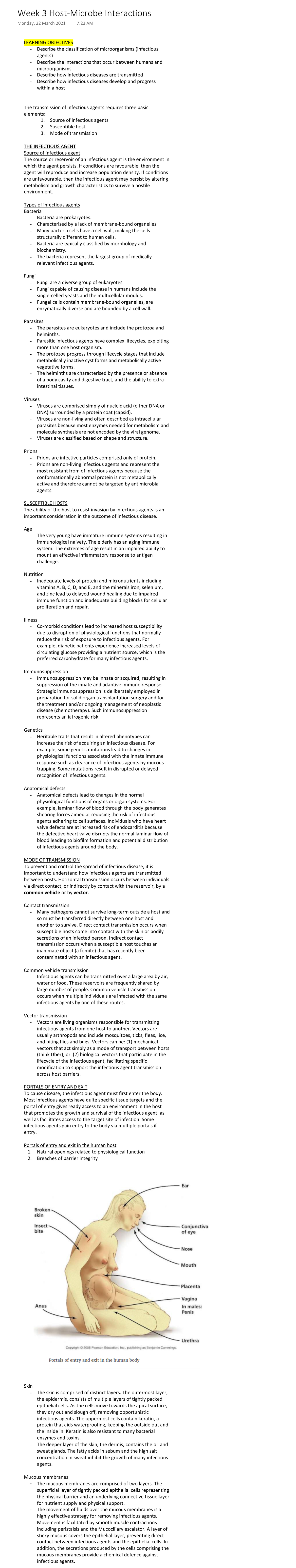 Week 3 Host-Microbe Interactions - LEARNING OBJECTIVES Describe the ...