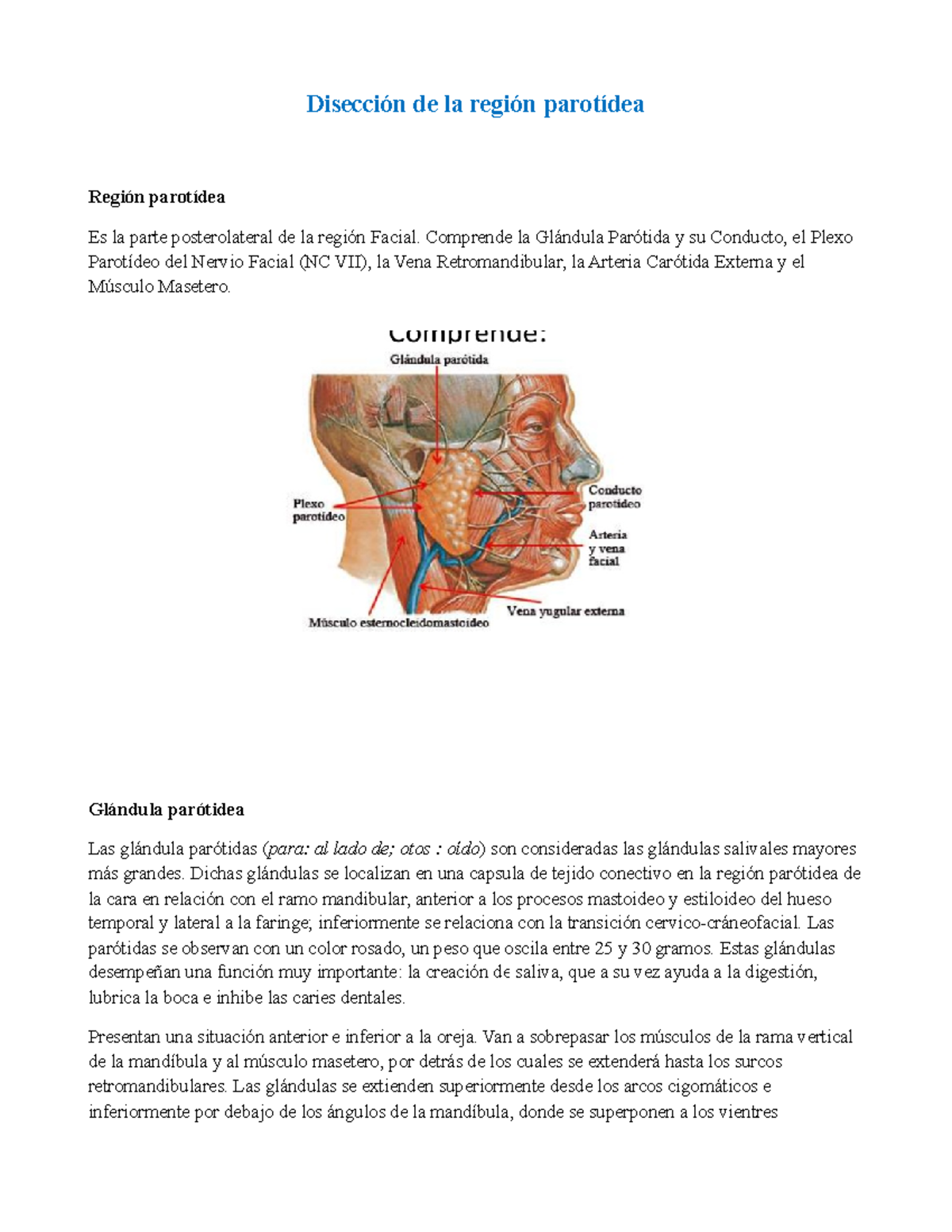 Disección de la región parotídea - Disección de la región parotídea ...