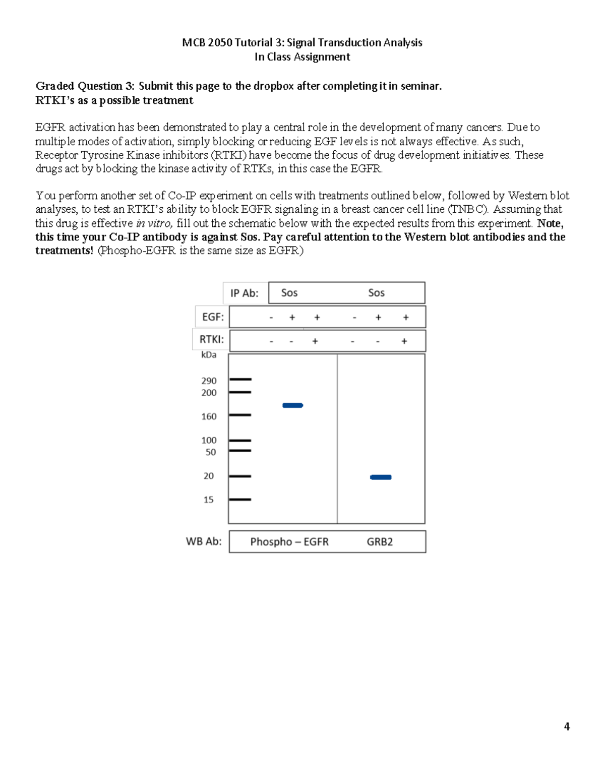 Mcb 2050 seminars 3 - graded - MCB 2050 Tutorial 3 : Signal Transduction Analysis In Class - Studocu