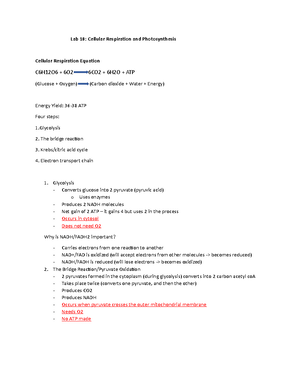 Bio101 Lab - Practical #1 Review - BIO101 PRACTICAL #1 REVIEW SHEET ...