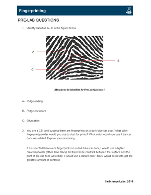 Sample Chain of Custody Form - Anywhere Police Department EVIDENCE ...