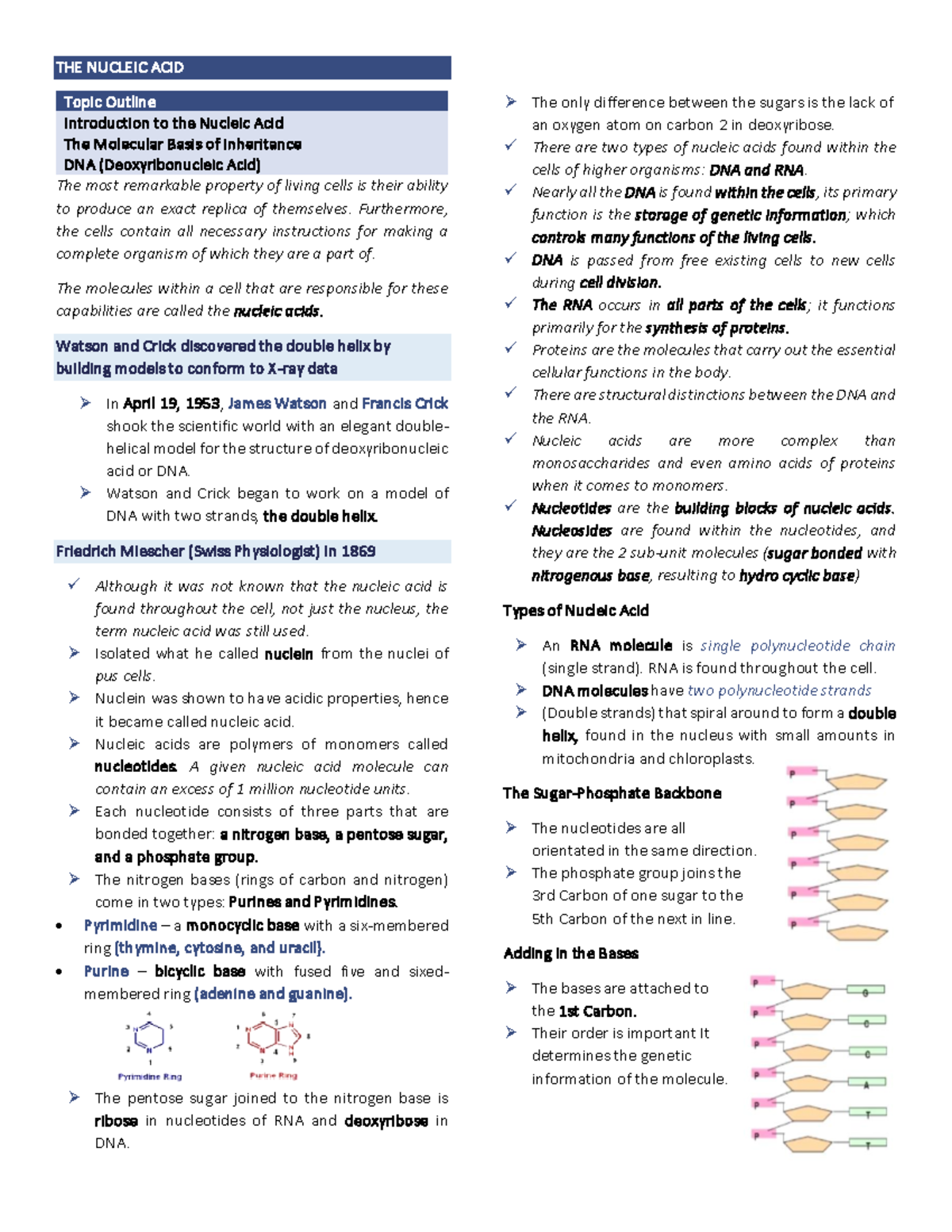THE- Nucleic-ACID - nucleic acid - THE NUCLEIC ACID Topic Outline ...