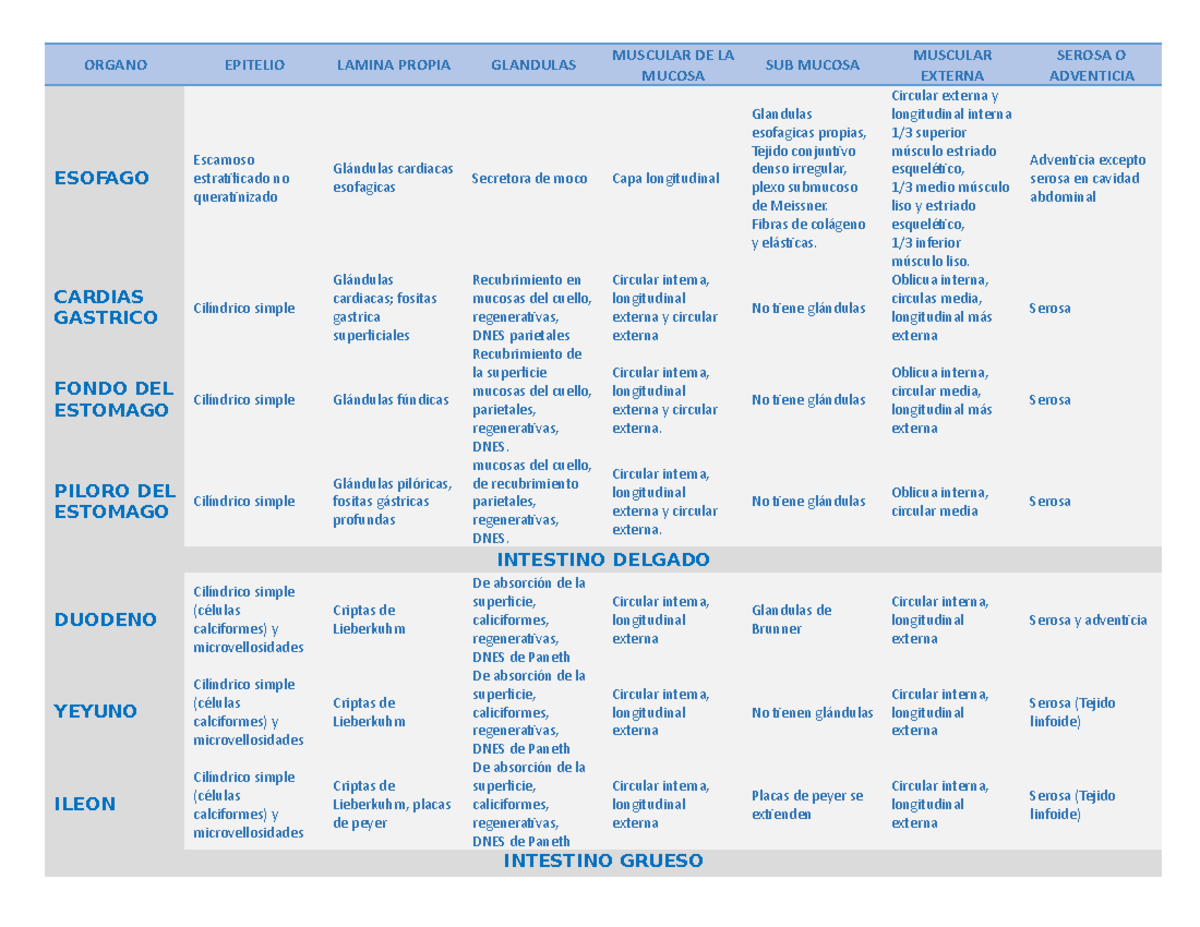 Cuadro Histologico DEL Sistema Digestivo - ORGANO EPITELIO LAMINA ...