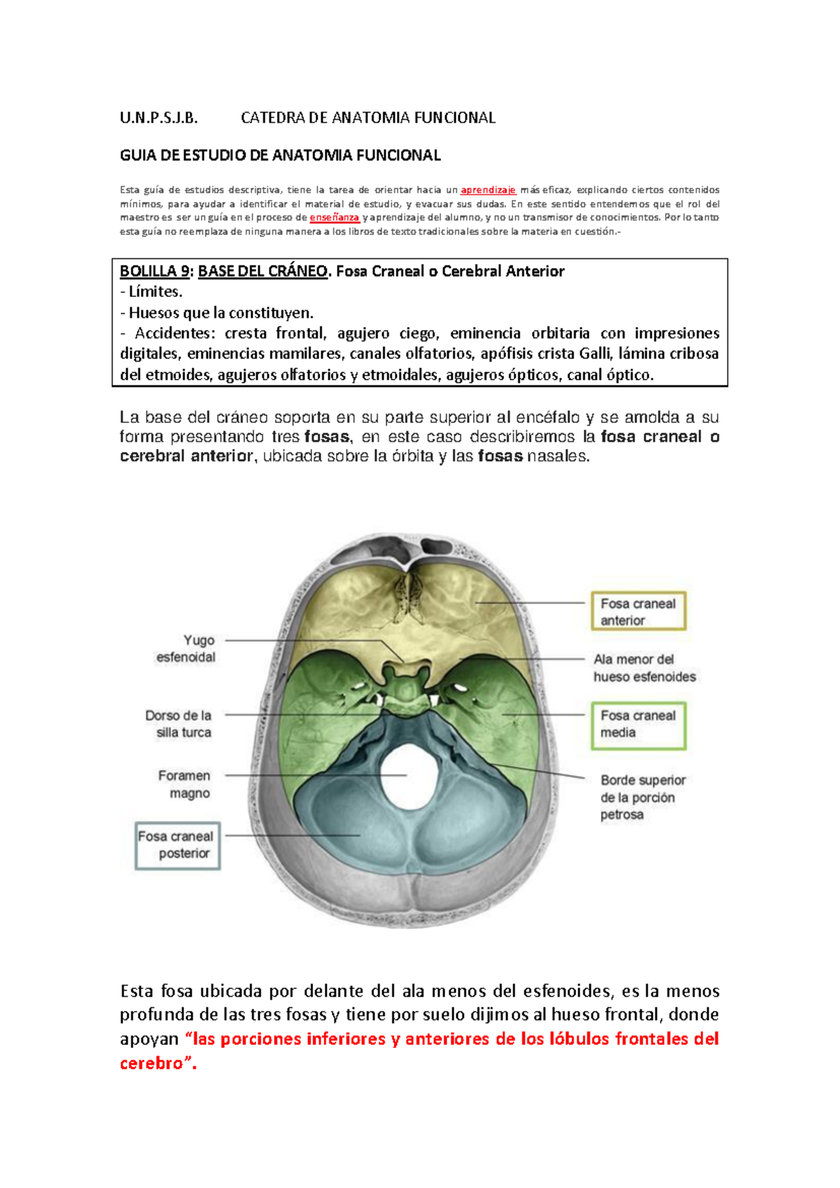 GUIA DE Estudio 9- FOSA Craneal Anterior - U.N.P.S.J. CATEDRA DE ...