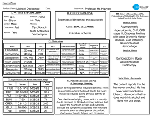 Concept Map Documentation - CONCEPT MAP DOCUMENTATION STUDENT NAME COURSE DATE SECTION 1 CLIENT ...