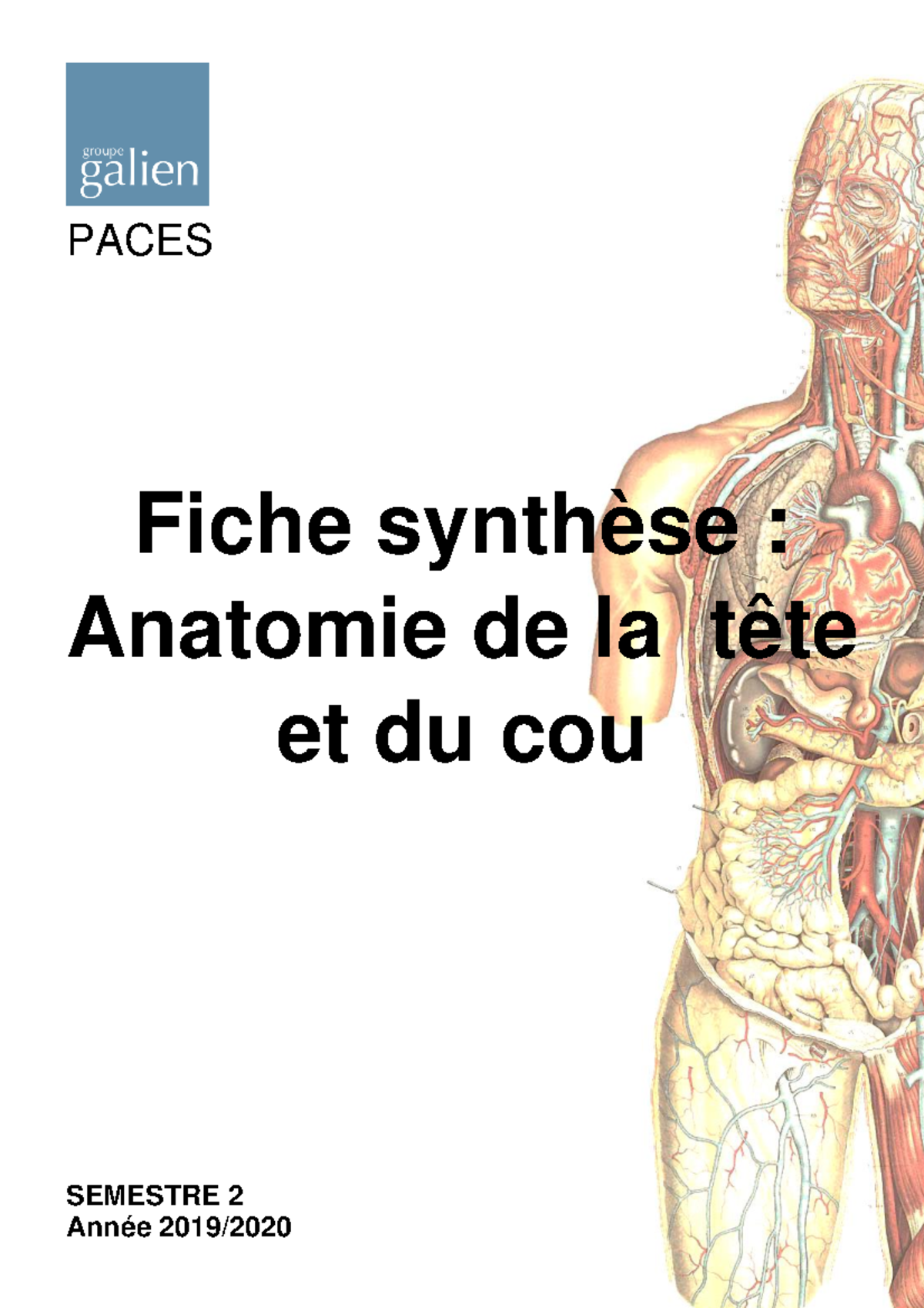 Tête Cou Fiche Synthèse - Warning: TT: undefined function: 32 Warning: TT: undefined function ...