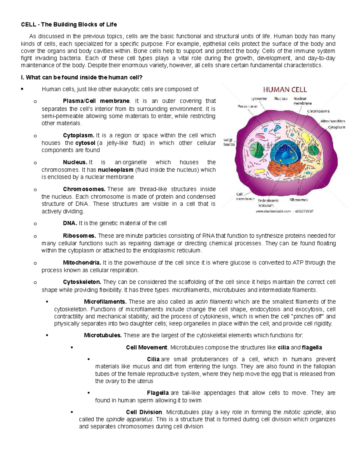 THE HUMAN CELLS - CELL - The Building Blocks of Life As discussed in ...